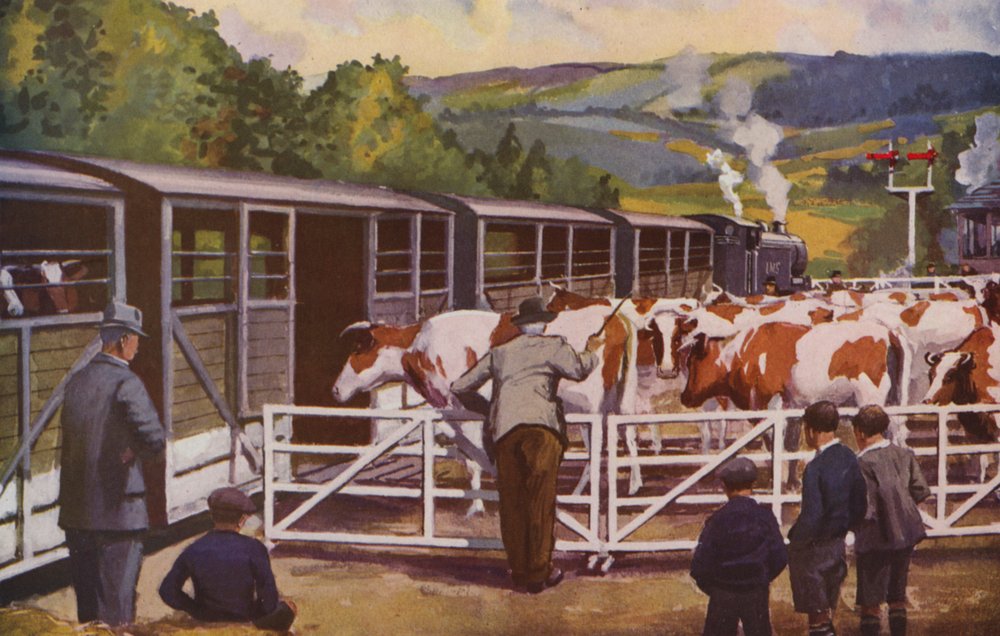 A Cattle Train Loading at a Country Station