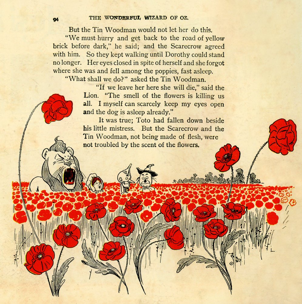 The Wonderful Wizard of Oz - Chapter VIII: The Deadly Poppy Field ...