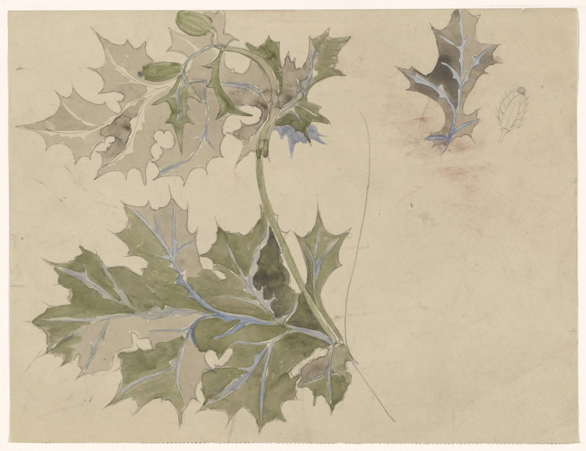 Thistle Leaves by Carel Adolph Lion Cachet: Fine art print