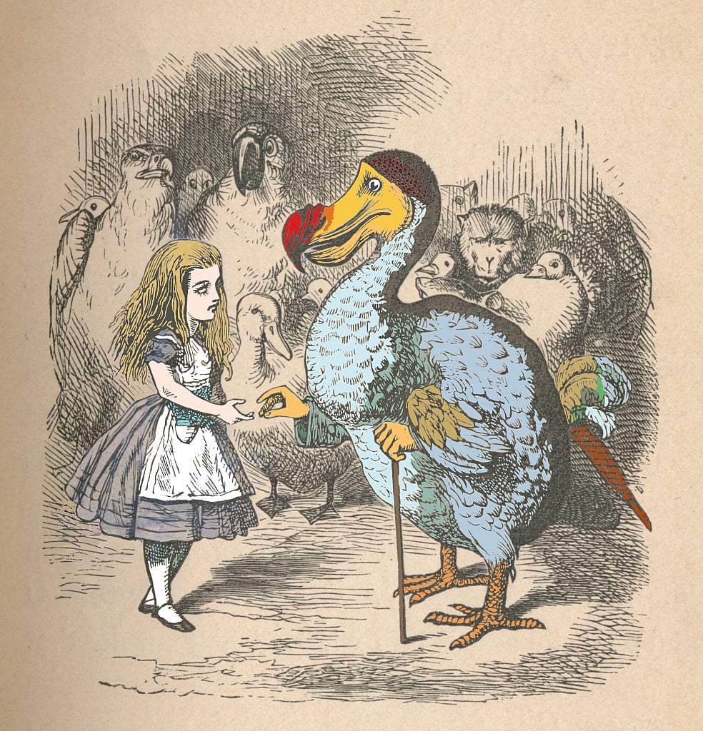 Dodo Bird Alice In Wonderland