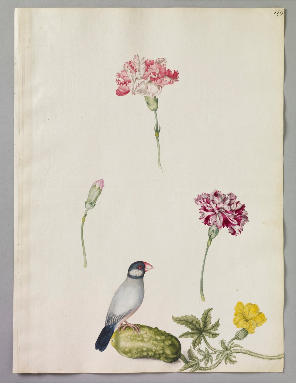 Alexander Marshal by Alexander Marshal: Buy fine art print