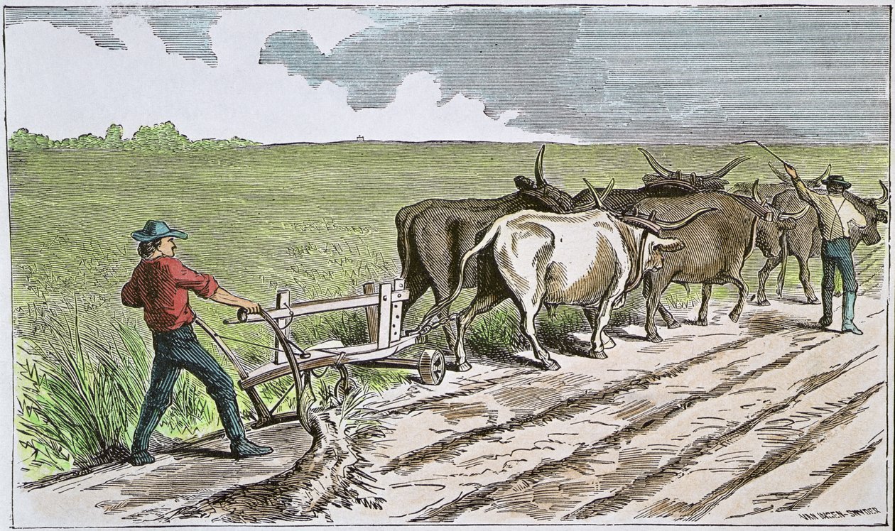 Sodbusters of the American West, c.1880 by American School