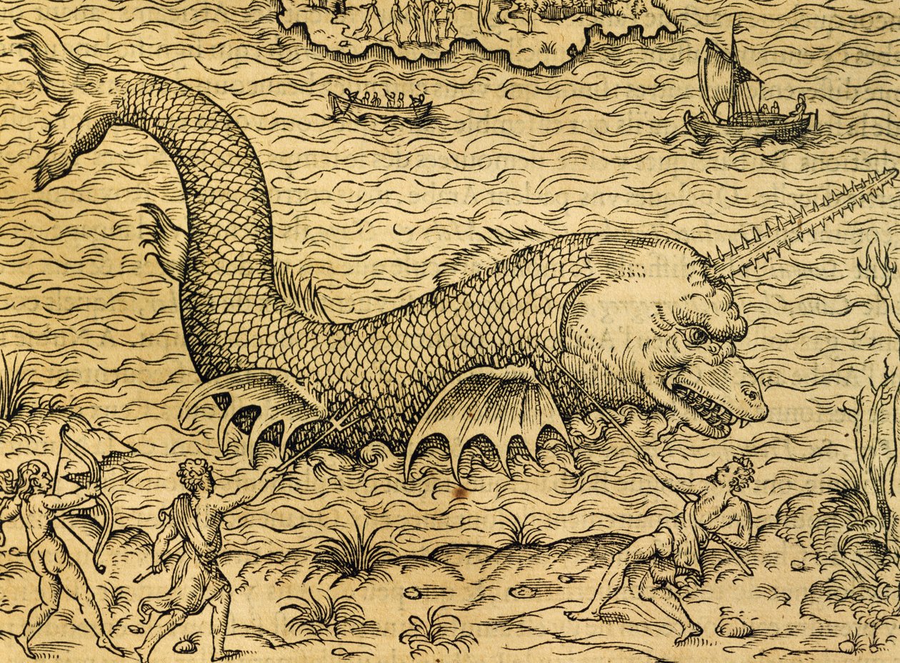 Sea Monsters Drawings