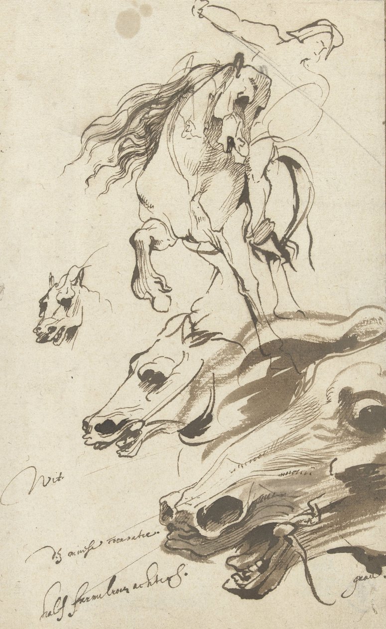 Anthony Head Horses