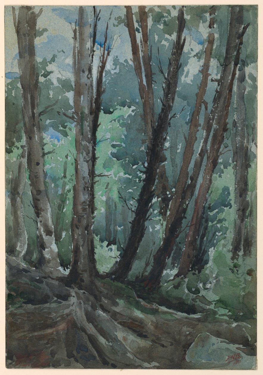 Forest by Arnold William Brunner: Buy fine art print