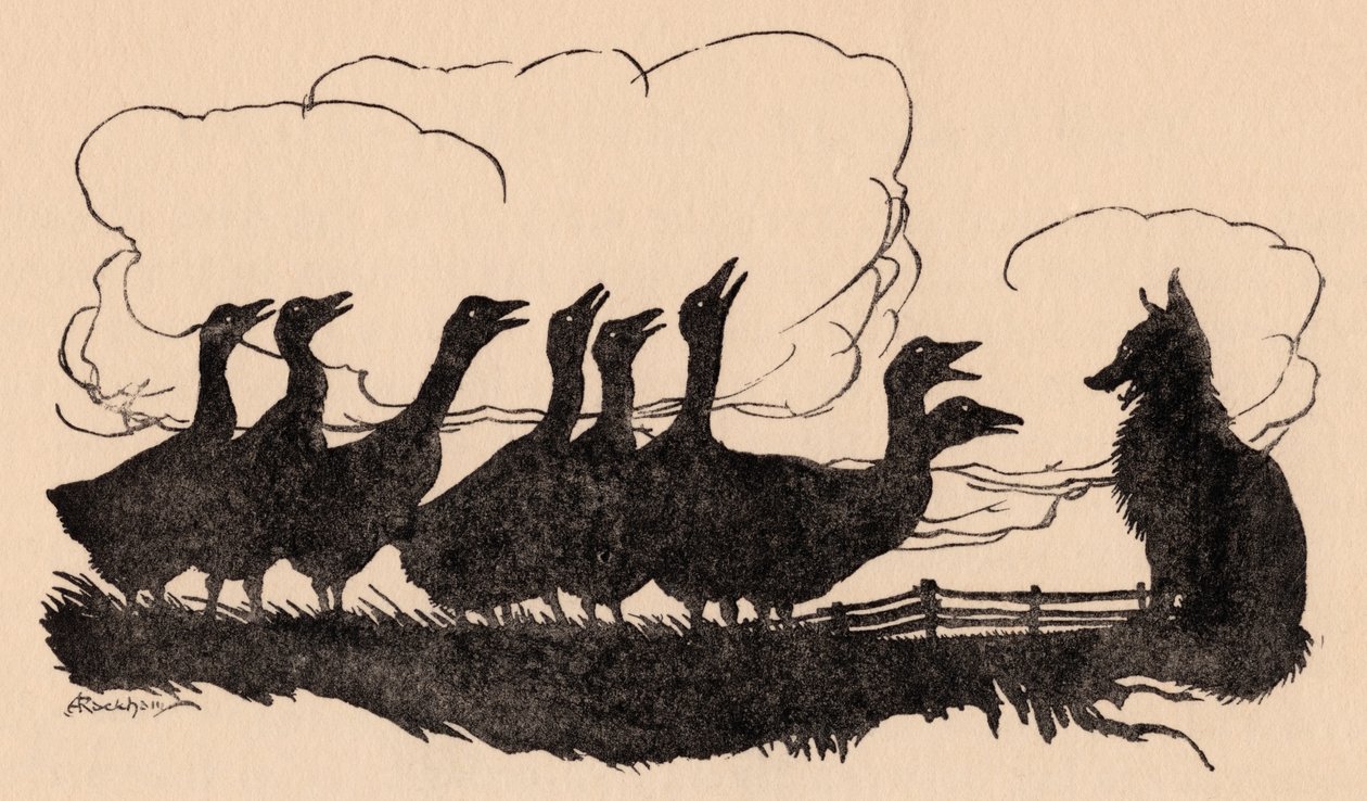 Illustration by Arthur Rackham from Grimm's Fairy Tale, The Fox and the ...