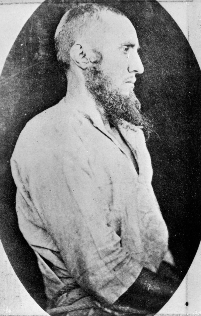 Portrait of Gavrilo Princip who assassinated the Archduke Franz ...