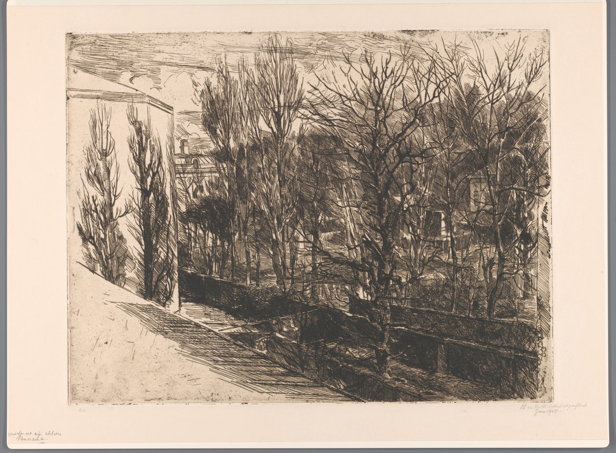 View from My Studio (Panorama)