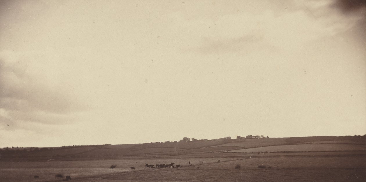 View of Fields with Cows, 1850s-1860s
