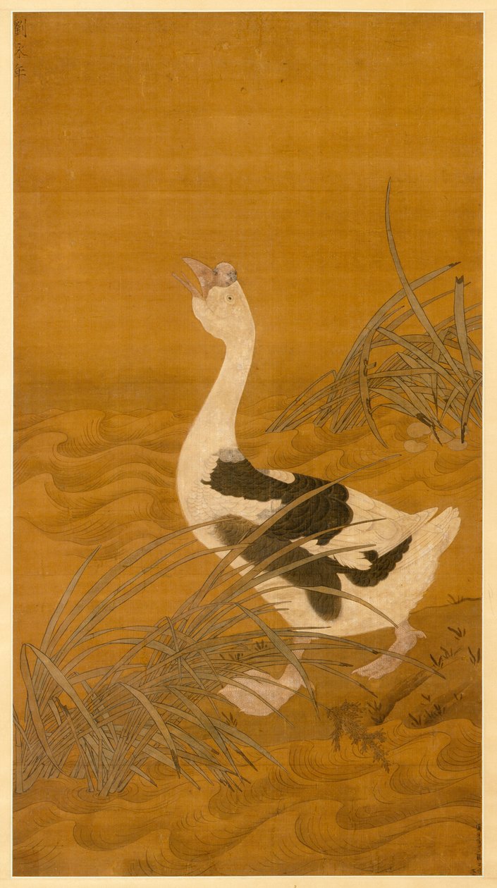 Swan Goose among Water Reeds by Chinese School