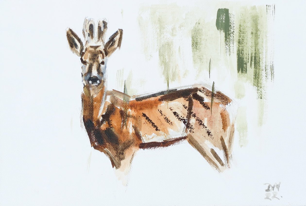 Roe Deer (Buck), 2022 by David Mayer: Buy fine art print