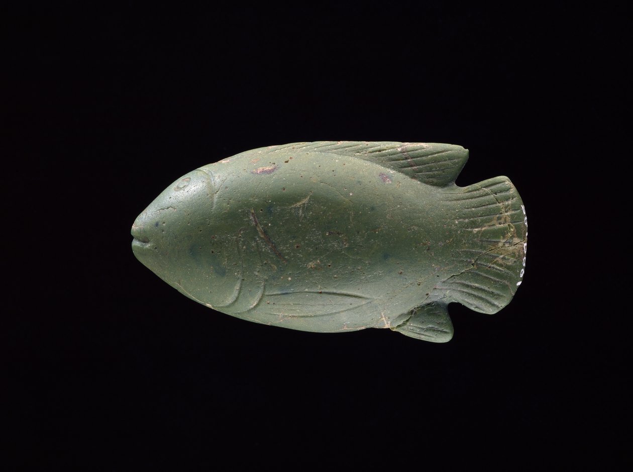 Fish-Shaped Dish by Egyptian 18th Dynasty: Fine art print