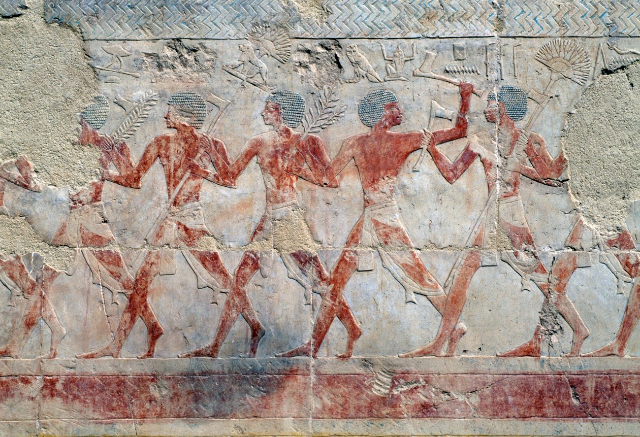 Procession Scene, East Wall, Upper Court, Mortuary Temple of Hatshepsut ...