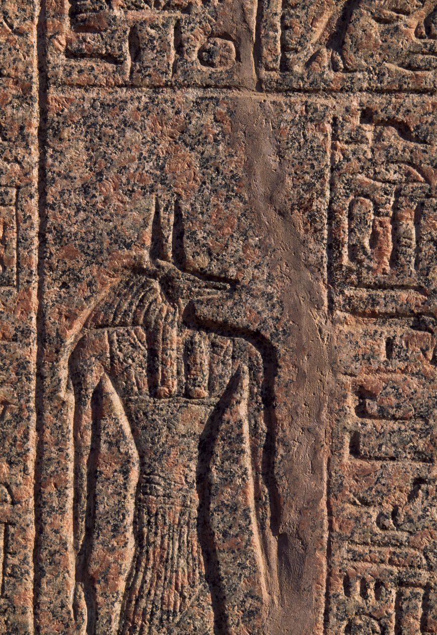Depiction of Anubis, (detail), Amenhotep's sarcophagus, Memphis (Unesco World Heritage List)