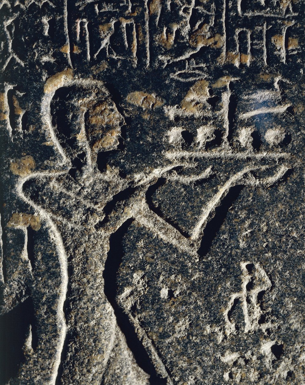 Granite statue depicting Prince Merneptah in worship, dedicated to god Ptah