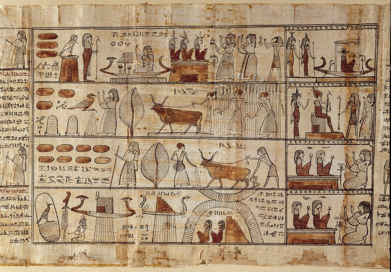 Ancient Egyptian Papyrus