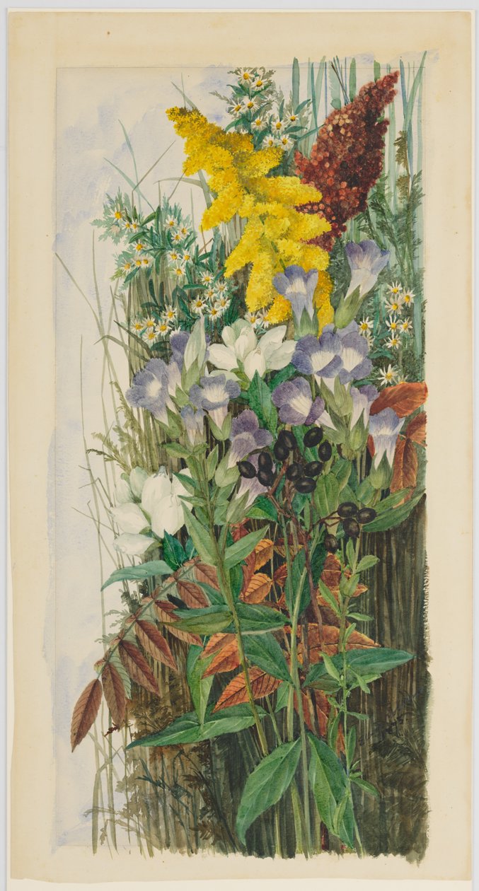 Wildflowers by Ellen Robbins: Buy fine art print