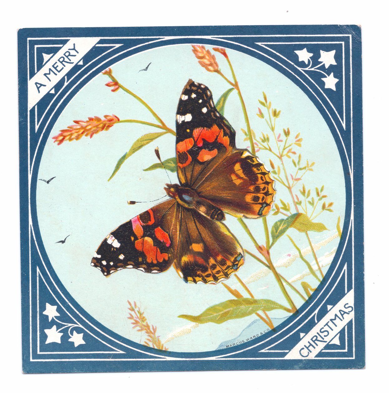 Butterfly Christmas Cards Christmas Print: Two Beetles And A