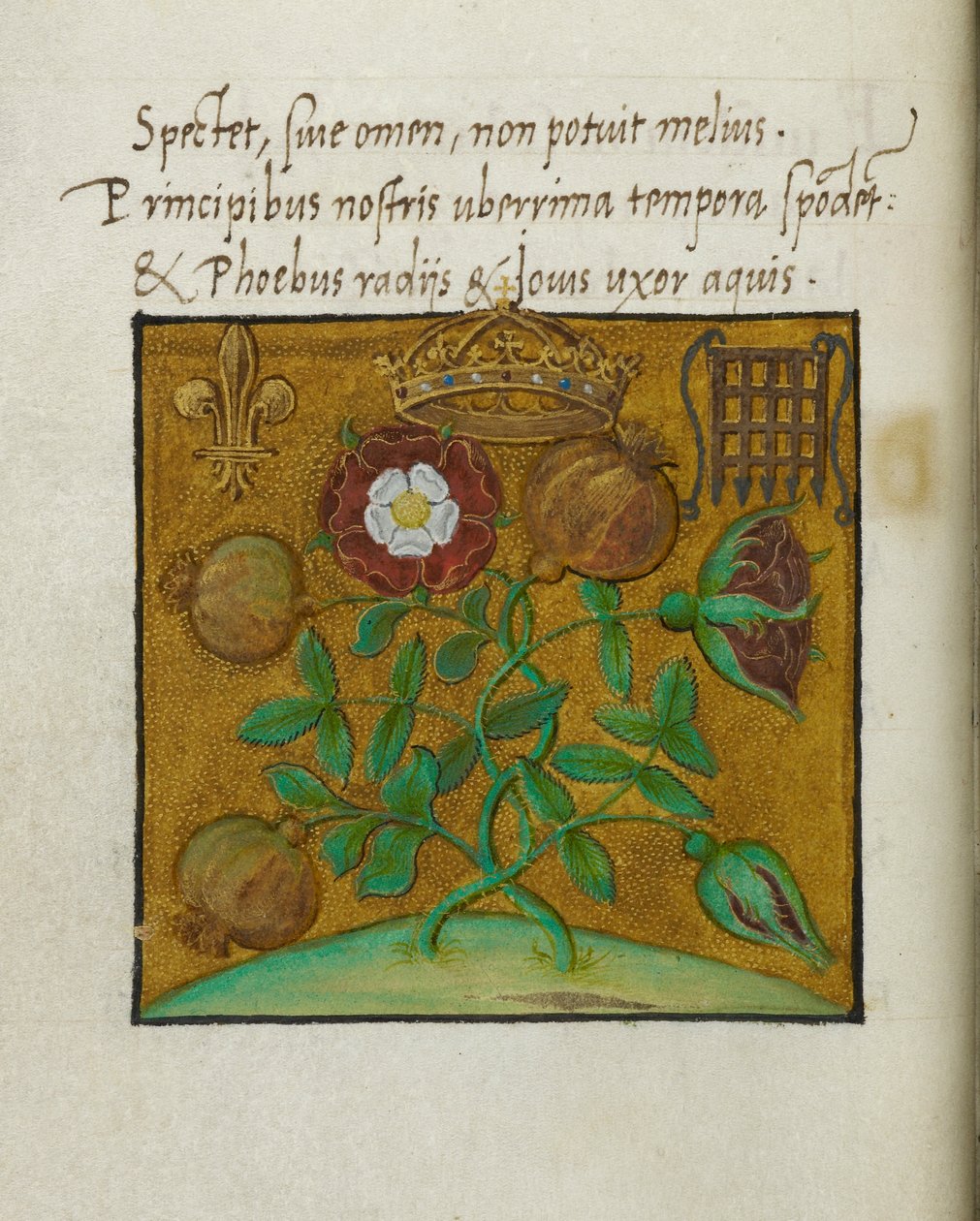 Symbols of royalty, illustration for 'Poems on the coronation of King ...