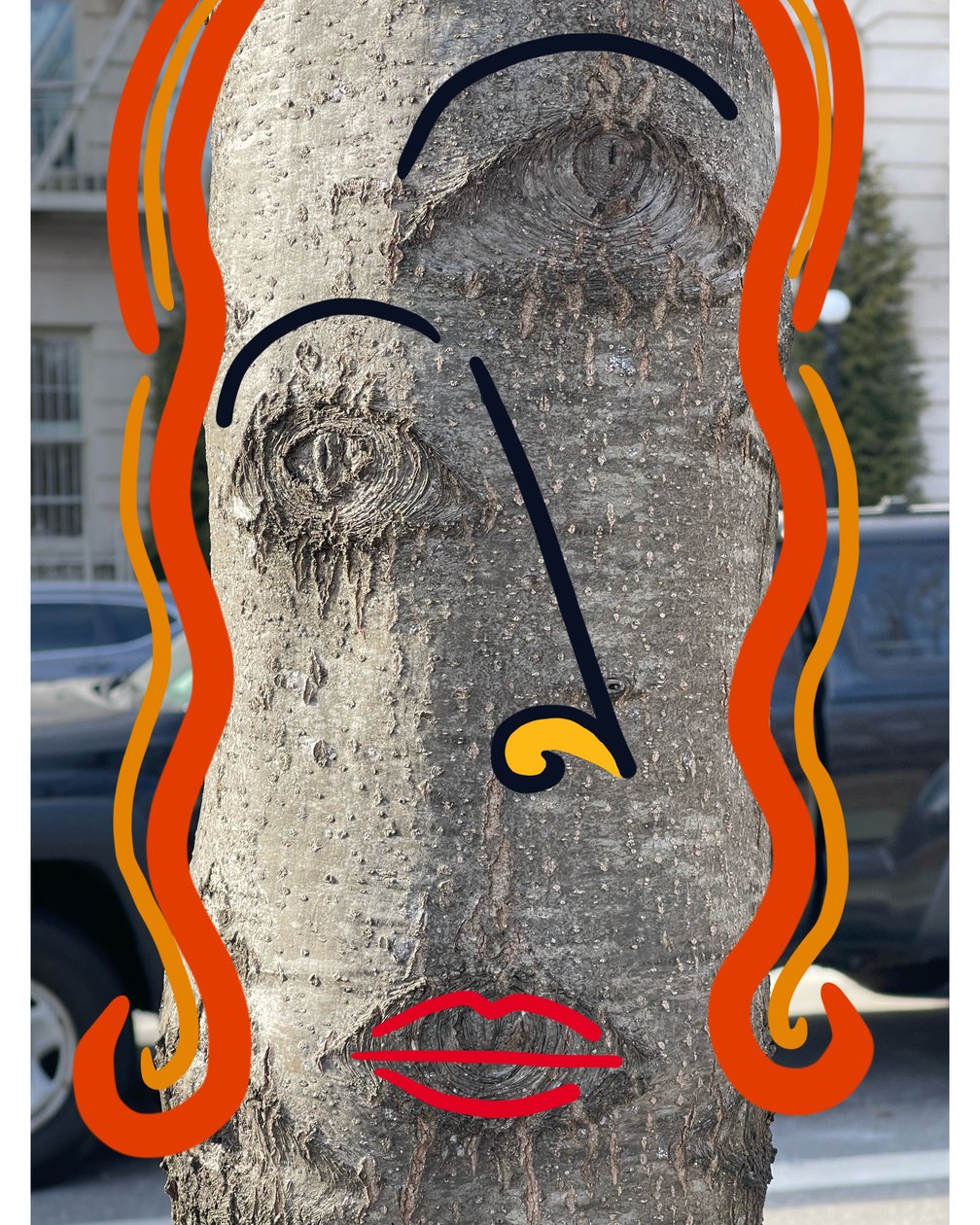Illustration of Tree Face Using Photography and Drawing, Brooklyn