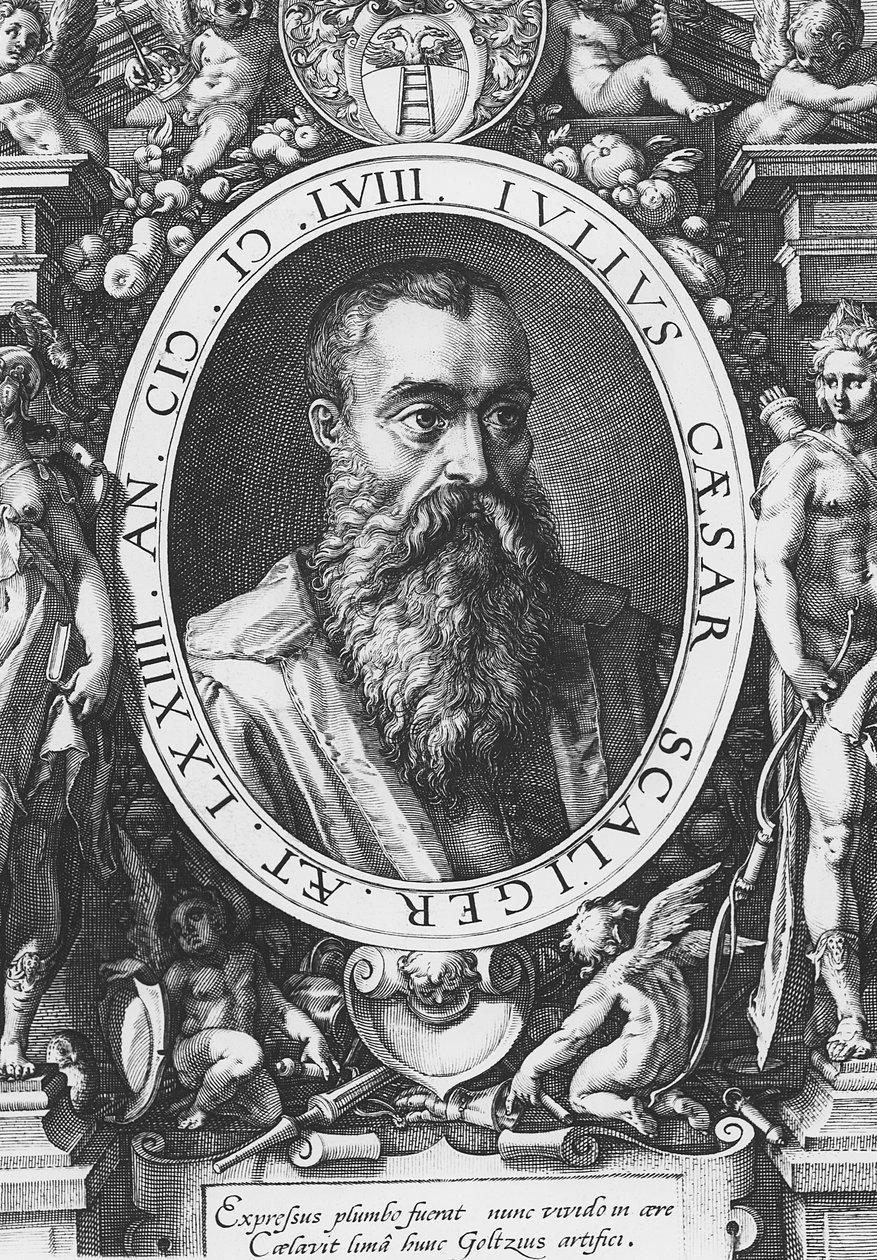 Julius Caesar Scaliger (engraving) by French School
