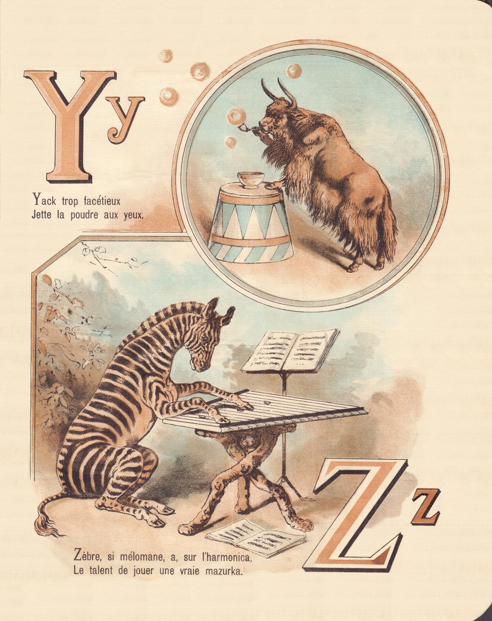 Y Z: Yak, Zebra by French School: Buy fine art print