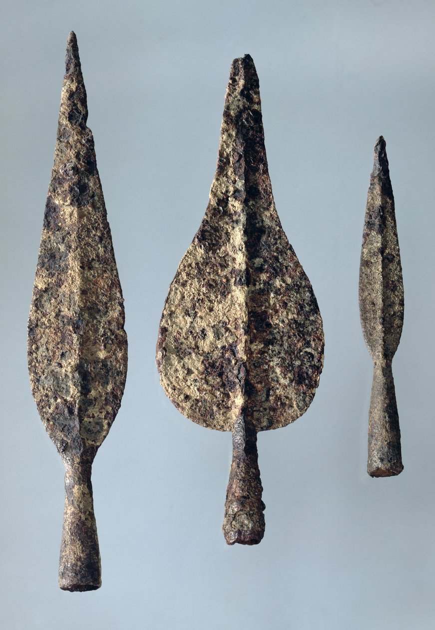 Lance and Javelin Heads by Gaulish: Buy fine art print