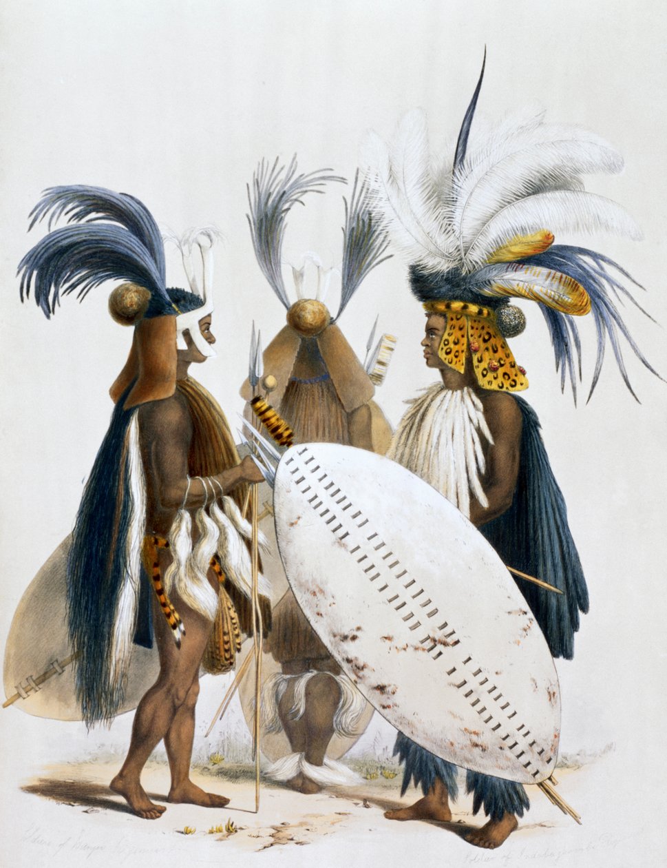 African Zulu Warrior Drawing