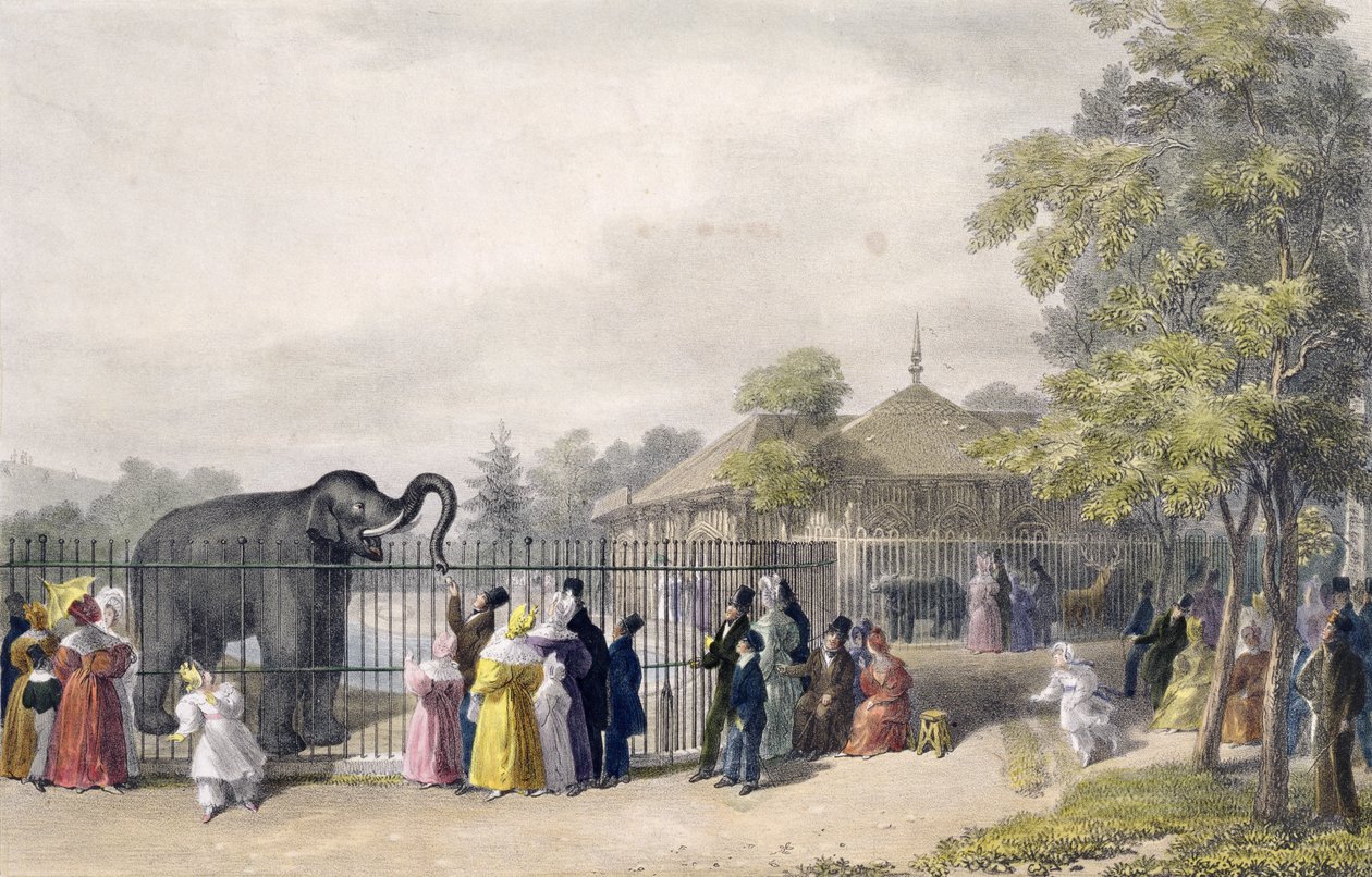 The Elephant House at the Zoological Gardens, Regent's Park, engraved ...
