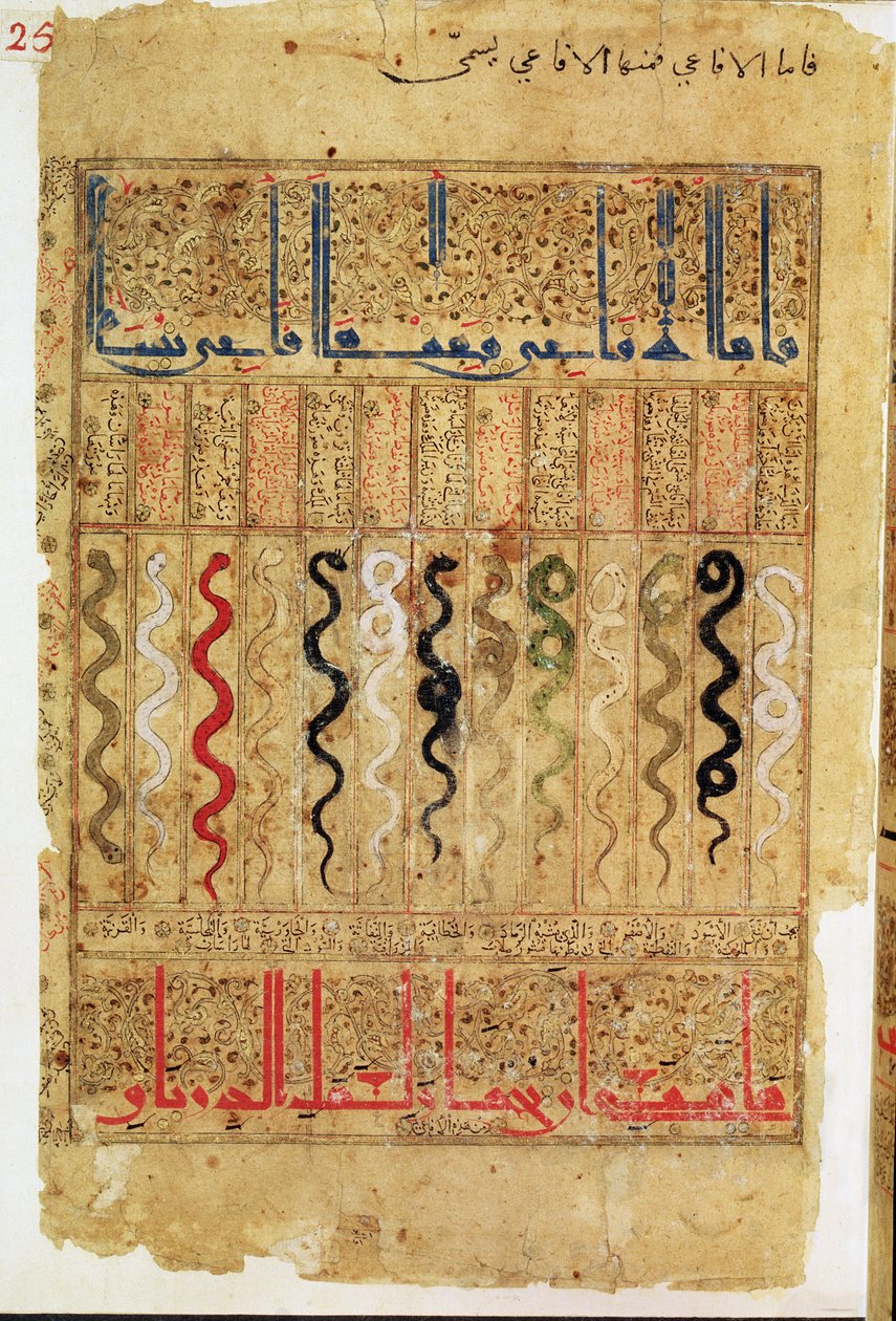 Treatise of Theriac after Galien, 1217 by Islamic School