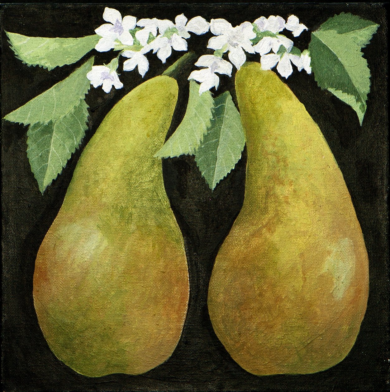Pears by Jennifer Abbott: Highest-quality art reproduction