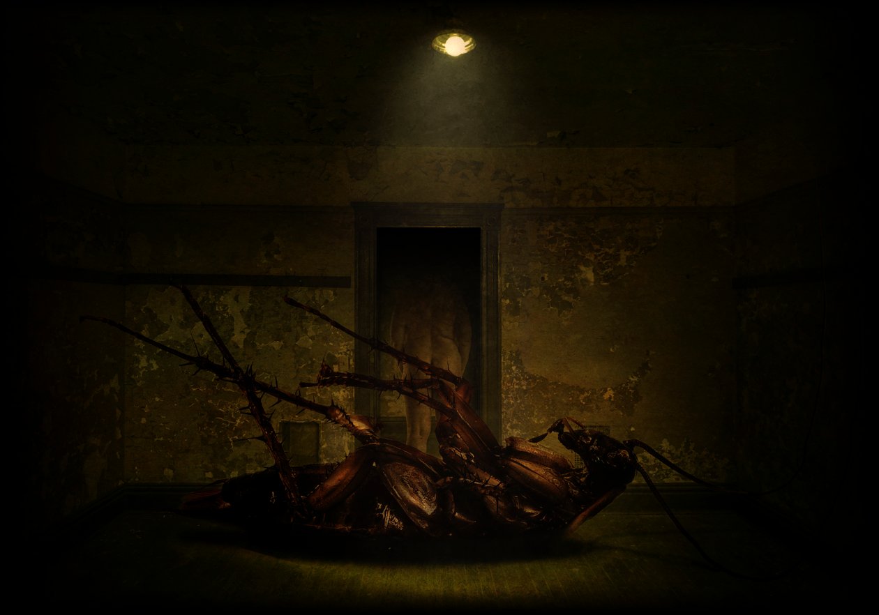 The transformation by Johan Lilja: Buy fine art print