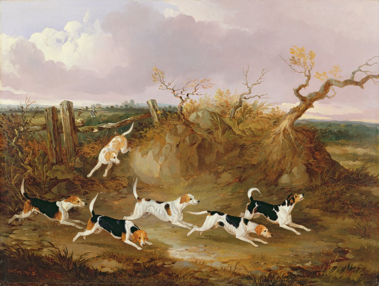 Beagles in Full Cry by John Dalby: Buy fine art print