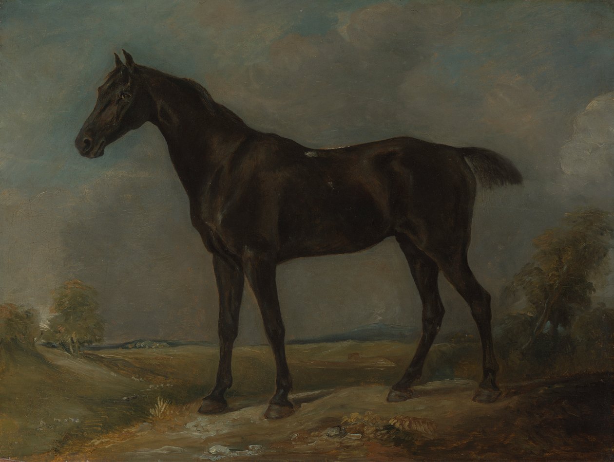 Golding Constable's Black Riding-Horse by John Constable