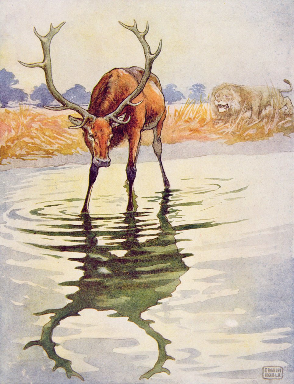 The Stag and its Reflection (book illustration)