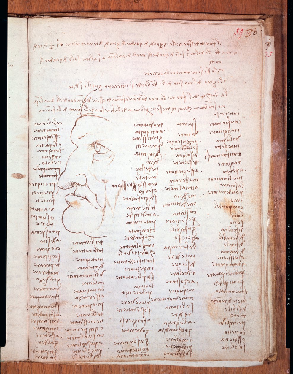 Codex Trivulziano by Leonardo da Vinci - Trivulziana Library, Milan