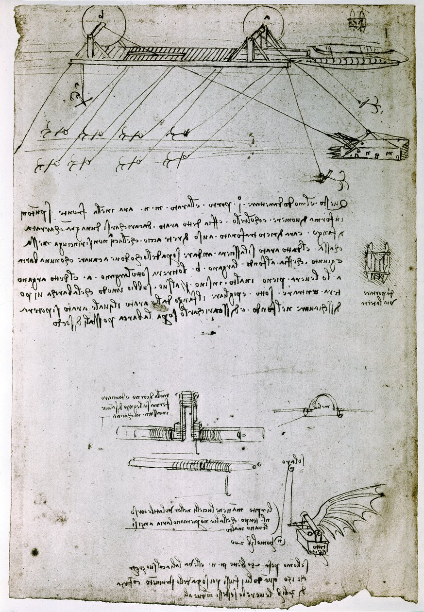 by Leonardo da Vinci: Highest-quality art reproduction