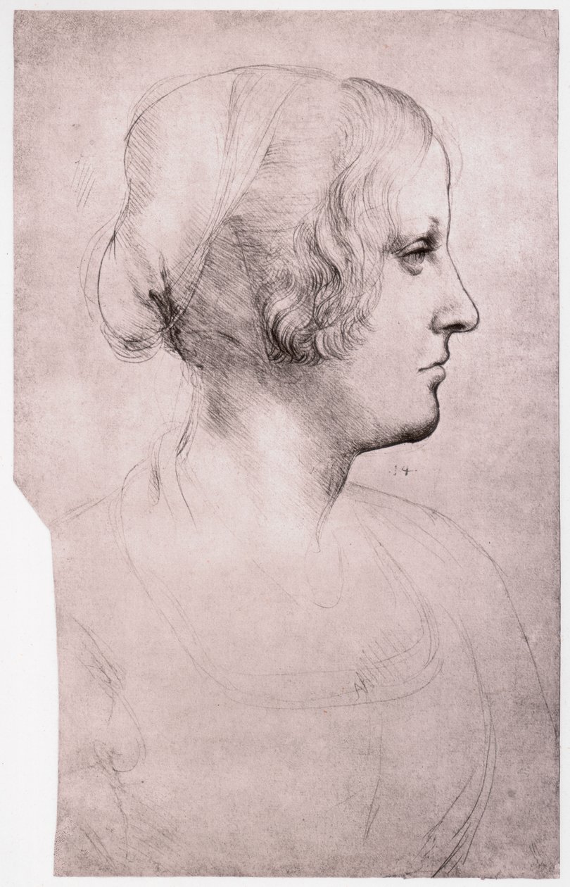 Portrait of a Girl with a Cap by Leonardo da Vinci