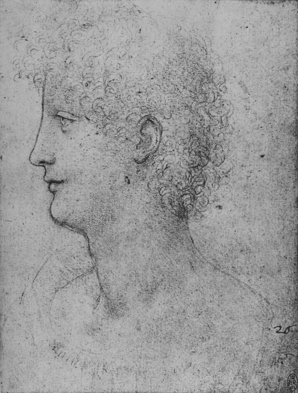 Profile to the Left of a Curly-Headed Youth