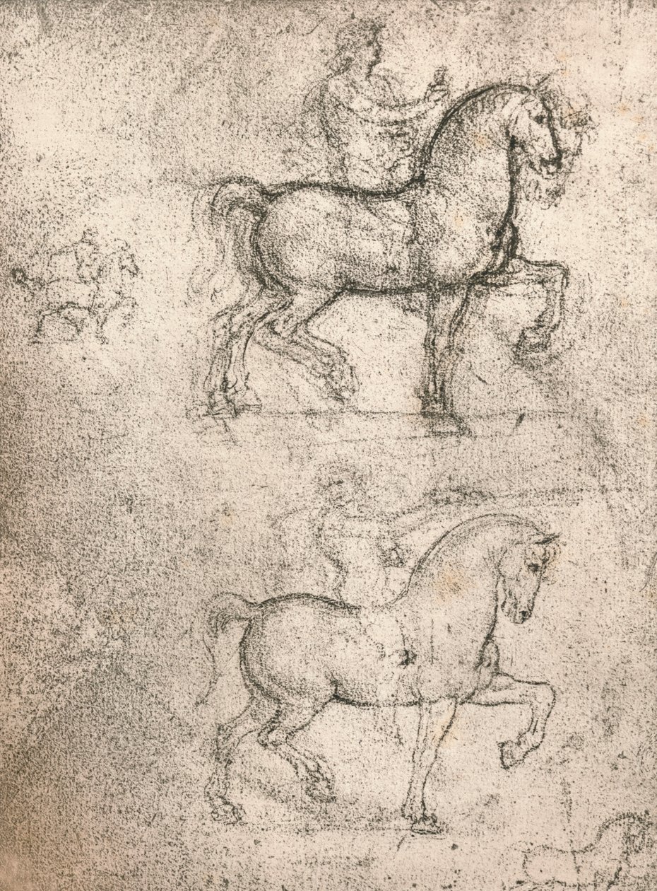 Study for the Sforza Monument by Leonardo da Vinci
