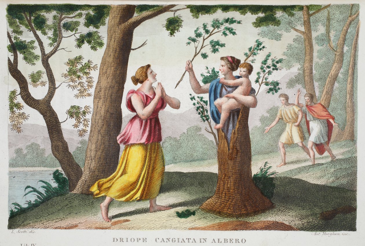 Dryope into a Tree, Book IX, illustration from Ovid's Metamorphoses ...