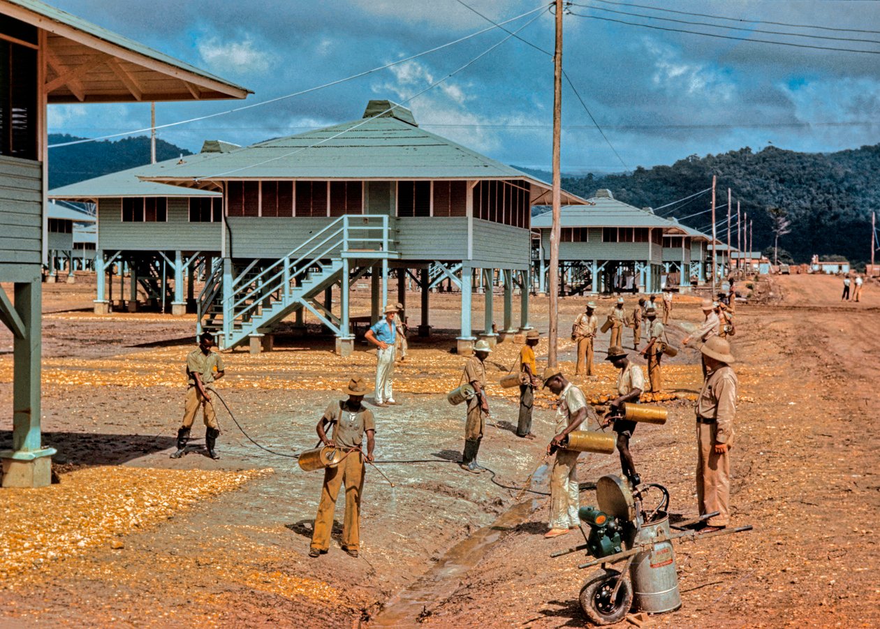 Men spray DDT pesticide insecticide to control insects around newly ...