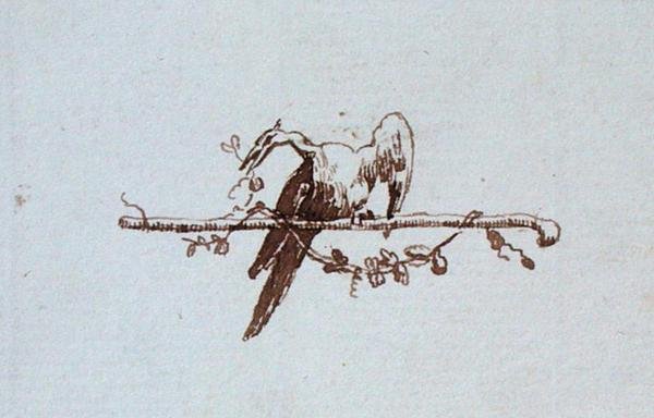 Drawing from Michael Faraday's scrapbook by Michael Faraday