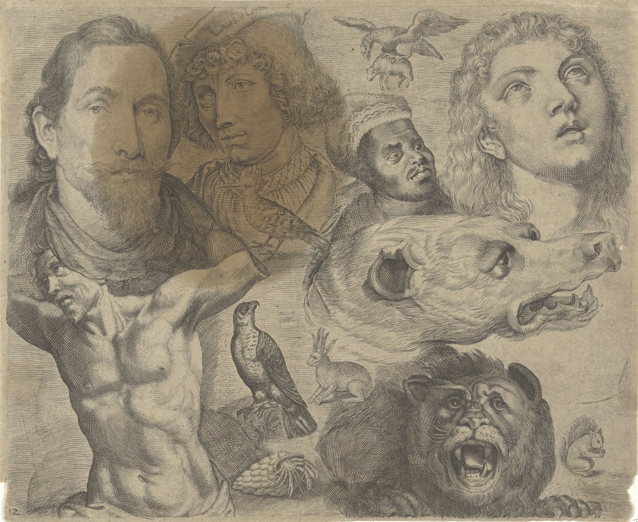 Study Sheet with Drawing Examples: Heads, Torso, and Animals