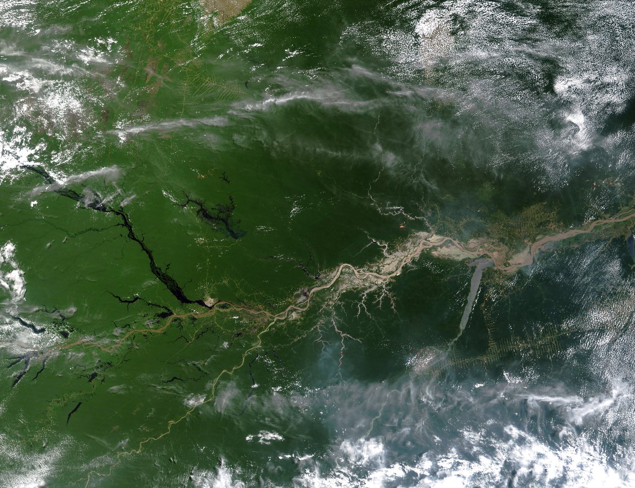 True-color satellite image of the River Amazon, down which flows one ...
