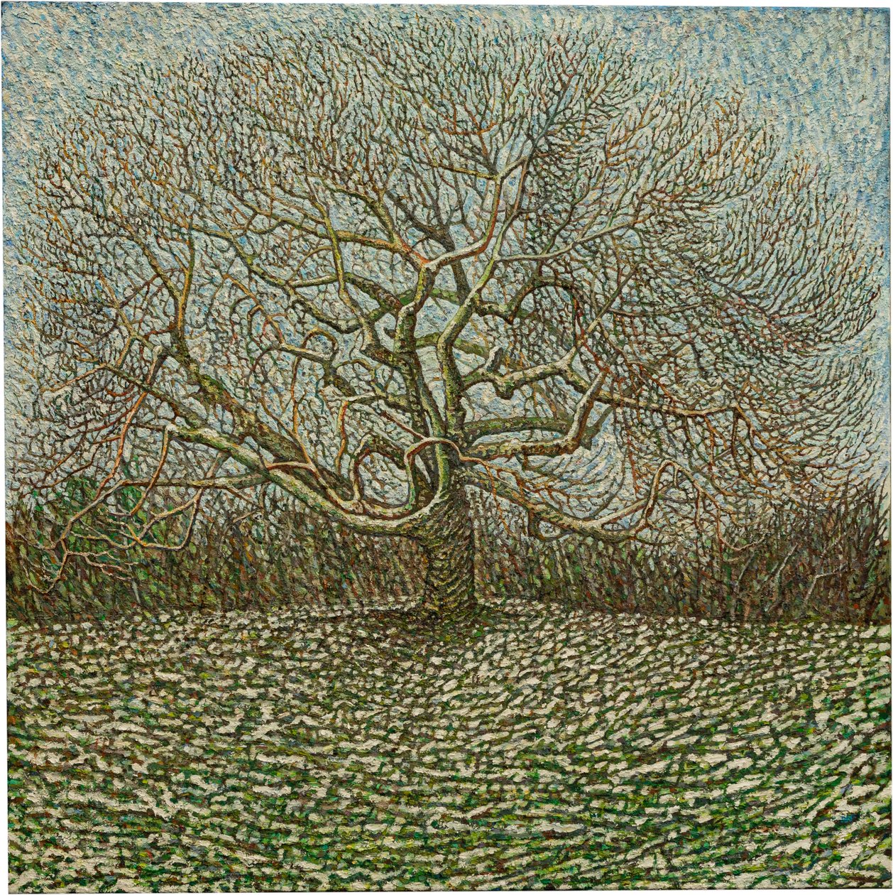 Last Winter's Tree by Noel Paine: Buy fine art print