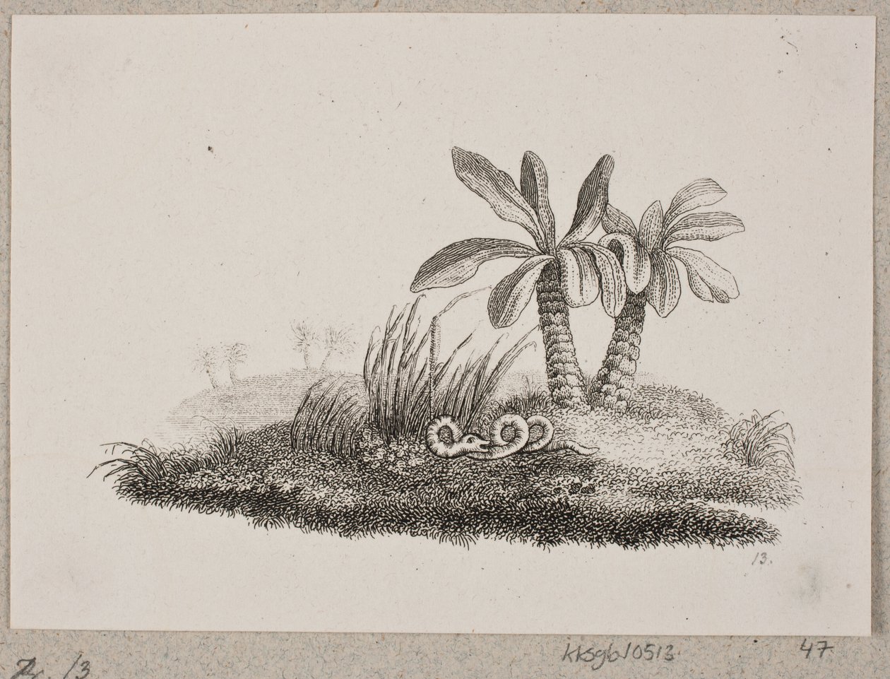 The Snake by Oluf Olufsen Bagge: Buy fine art print