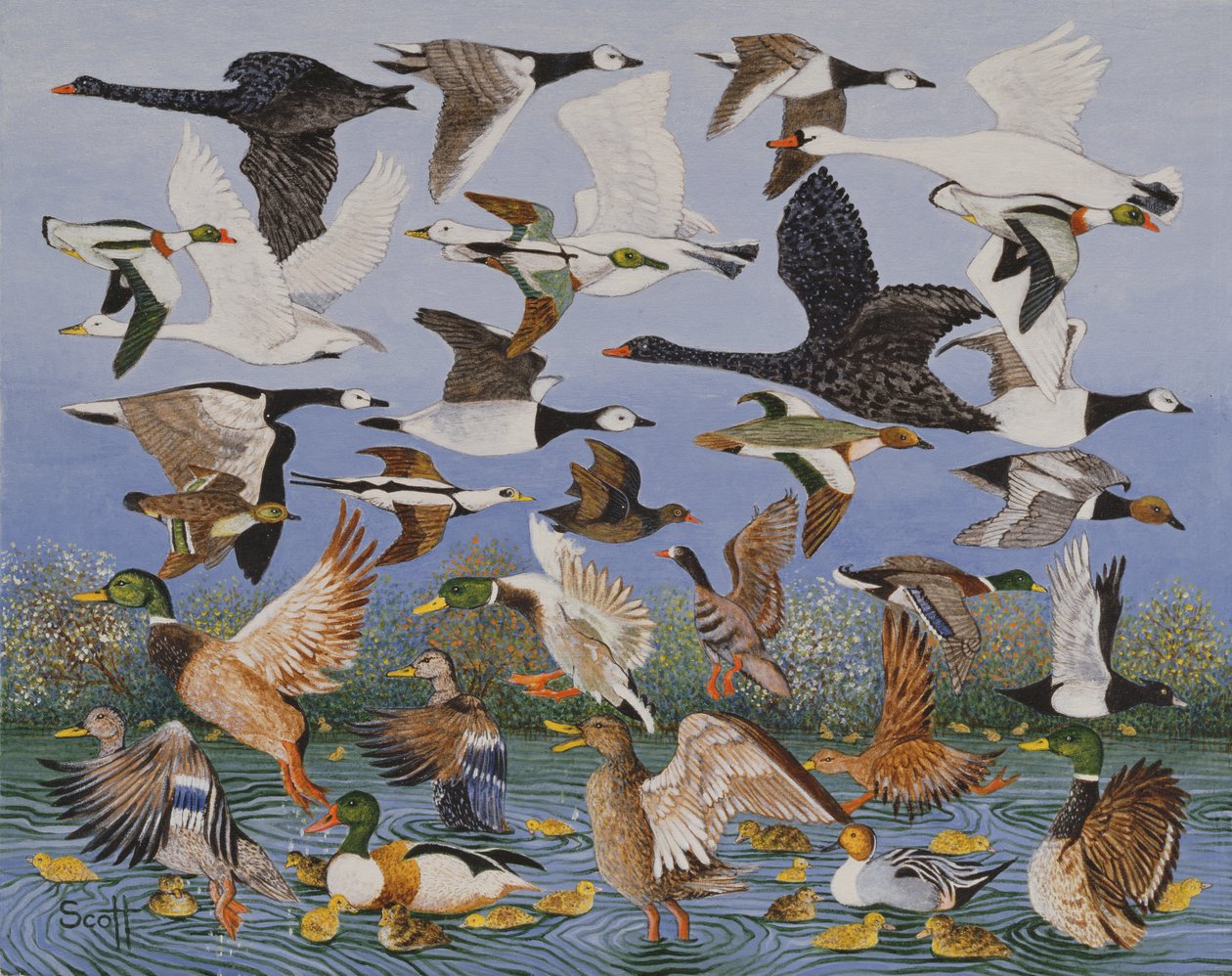 Taking Off by Pat Scott: Highest-quality art reproduction