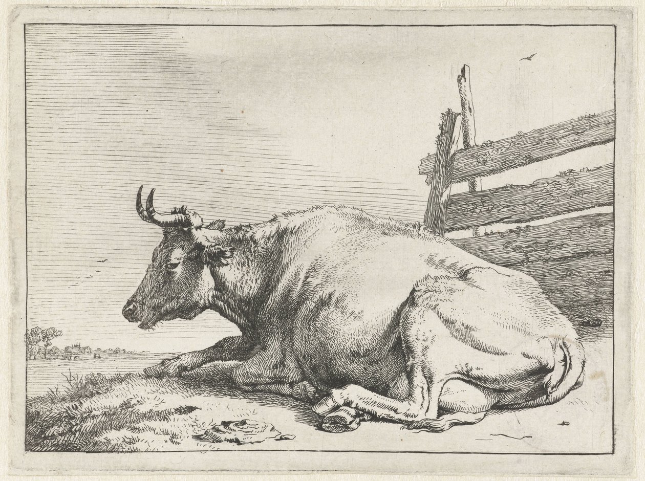 Lying Cow by a Fence by Paulus Potter: Buy fine art print