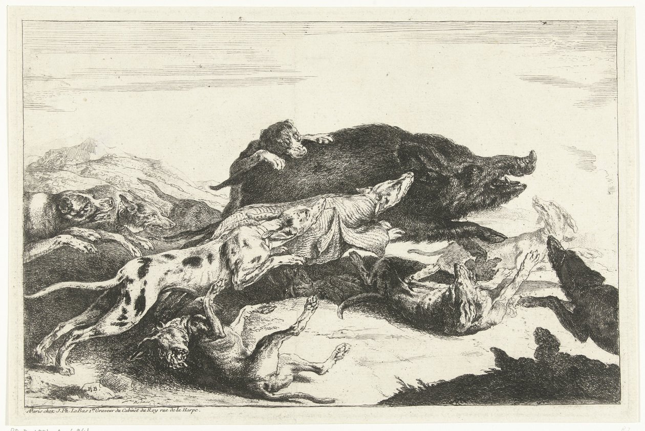 Dogs Hunting Boar